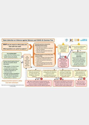 Decision tree: Data Collection on Violence against Women and COVID-19 ...