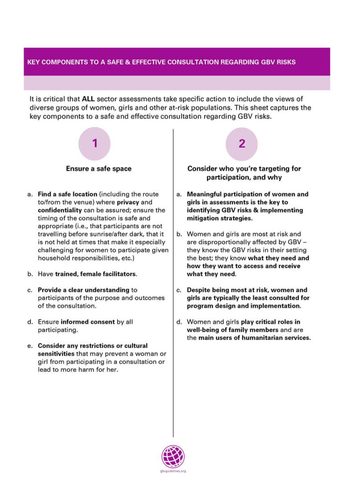 Key Components to a Safe and Effective Consultation Regarding GBV Risks - Guidelines for ...